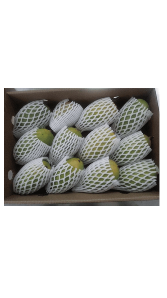 Fresh Mango Exporters From India